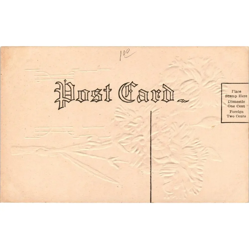 Unbranded | Art | Vintage Embossed Postcard Carnations And Art Nouveau ...